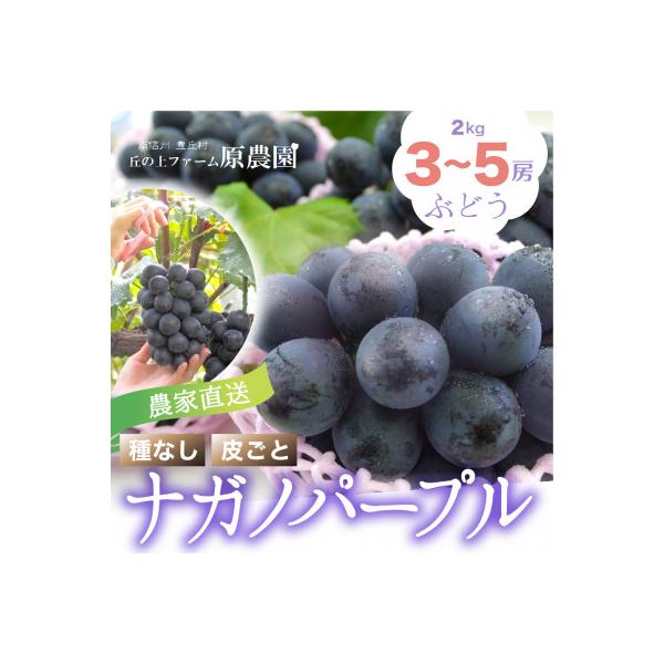 ■お礼品詳細　・配送種別：冷蔵便■お申し込み・配送・その他　・発送時期：2026-08-20〜2026-09-15（お届け時間帯指定可）　・申込受付期間：2025-12-16〜2026-08-10　・配達外のエリア：離島　・寄付証明書の送付...