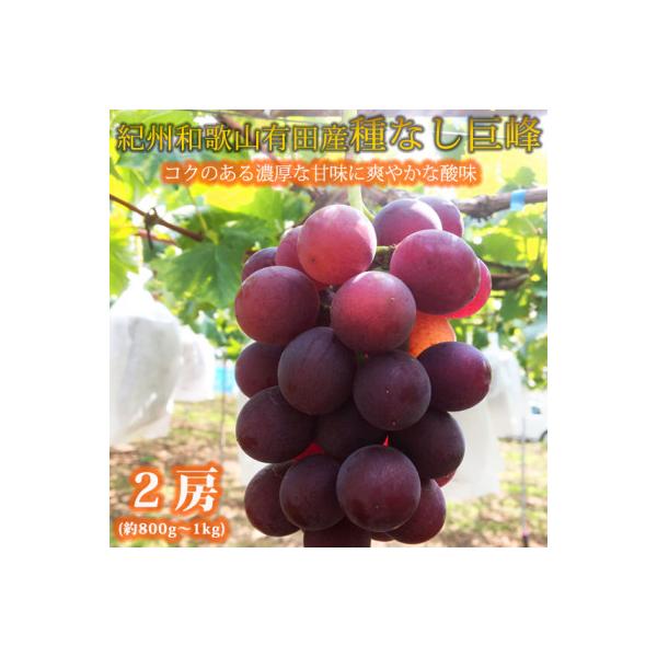 ■お礼品詳細　・配送種別：冷蔵便■お申し込み・配送・その他　・発送時期：2026-08-11〜2026-09-05（お届け時間帯指定可）　・申込受付期間：2025-09-20〜2026-08-20　・配達外のエリア：離島、北海道、沖縄県　・...