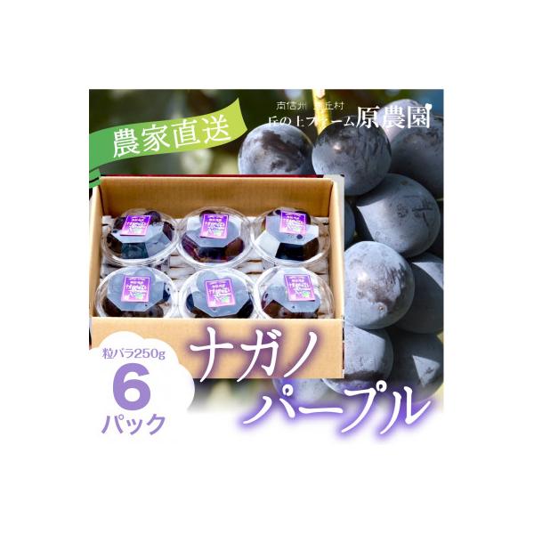 ■お礼品詳細　・配送種別：冷蔵便■お申し込み・配送・その他　・発送時期：2026-08-20〜2026-09-15（お届け時間帯指定可）　・申込受付期間：2025-12-16〜2026-08-10　・配達外のエリア：離島　・寄付証明書の送付...