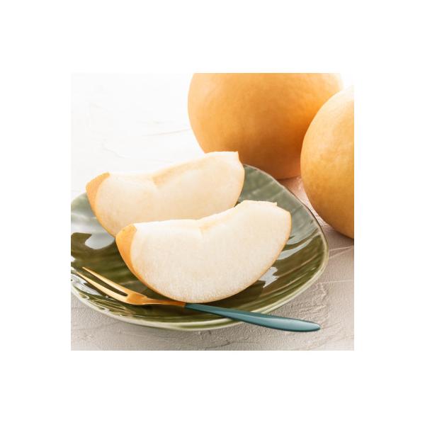 ■お礼品詳細　・配送種別：通常■お申し込み・配送・その他　・発送時期：2026-10-10〜2026-11-25（お届け時間帯指定可）　・申込受付期間：〜2026-11-15　・配達外のエリア：離島、北海道、沖縄県　・寄付証明書の送付時期目...