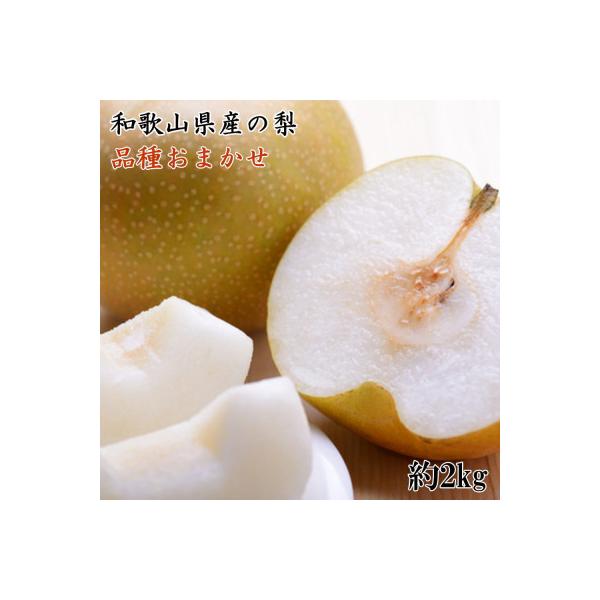 ■お礼品詳細　・配送種別：通常■お申し込み・配送・その他　・発送時期：2026-08-24〜2026-09-30（お届け時間帯指定可）　・申込受付期間：2025-09-25〜2026-08-26　・配達外のエリア：離島　・寄付証明書の送付時...