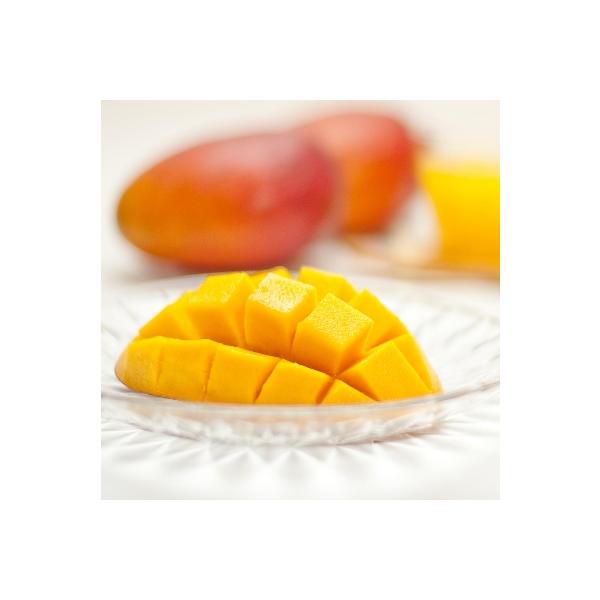 ■お礼品詳細　・配送種別：冷蔵便■お申し込み・配送・その他　・発送時期：2026-06-10〜2026-07-31（お届け時間帯指定可）　・申込受付期間：2025-07-26〜2026-07-20　・配達外のエリア：離島　・寄付証明書の送付...