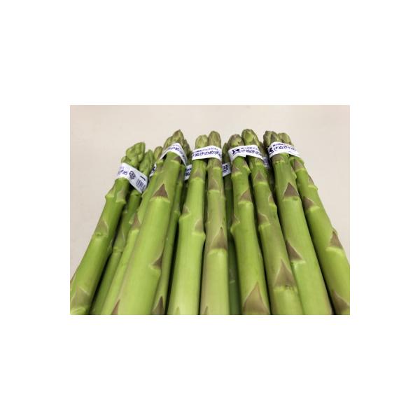 ■お礼品詳細　・配送種別：冷蔵便■お申し込み・配送・その他　・発送時期：2026-03-07〜2026-06-09（お届け時間帯指定可）　・申込受付期間：〜2026-05-31　・配達外のエリア：離島、北海道、沖縄県　・寄付証明書の送付時期...