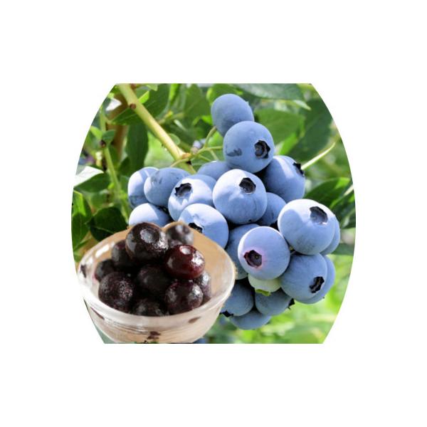 ■お礼品詳細　・配送種別：冷凍便■お申し込み・配送・その他　・発送時期：2026-01-06より順次発送 ※生産・天候・交通等の事情により遅れる場合があります。（お届け時間帯指定可）　・申込受付期間：通年　・配達外のエリア：離島　・寄付証明...