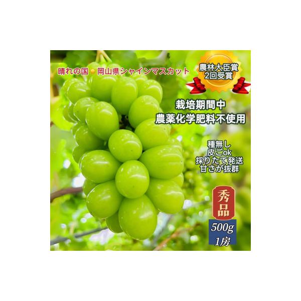 ■お礼品詳細　・配送種別：冷蔵便■お申し込み・配送・その他　・発送時期：2026-06-25〜2026-10-05　・申込受付期間：〜2026-09-29　・配達外のエリア：離島　・寄付証明書の送付時期目安：申込完了日から２ヵ月程度　・提供...