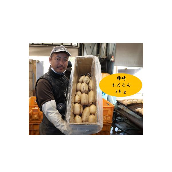 ■お礼品詳細　・配送種別：冷蔵便■お申し込み・配送・その他　・発送時期：2025-08-01〜2026-03-31（お届け時間帯指定可）　・申込受付期間：〜2026-03-25　・配達外のエリア：離島　・寄付証明書の送付時期目安：申込完了日...