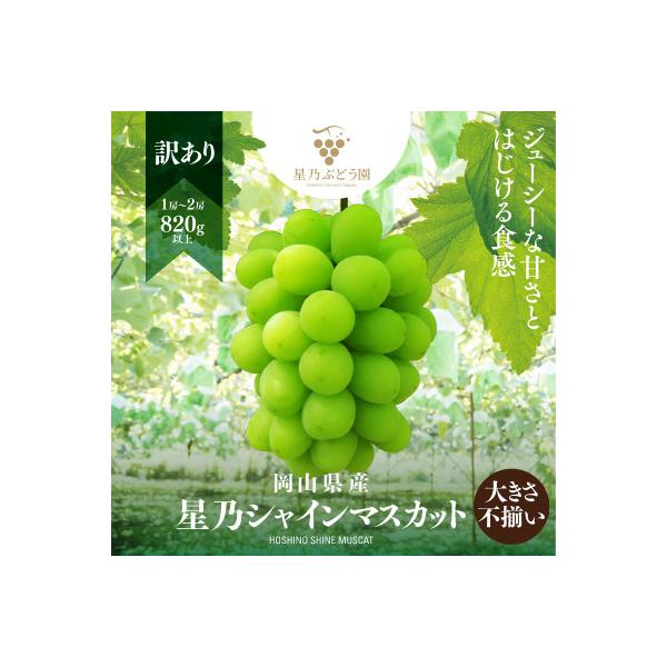 ■お礼品詳細　・配送種別：通常■お申し込み・配送・その他　・発送時期：2026-08-20〜2026-11-14（お届け時間帯指定可）　・申込受付期間：〜2026-10-20　・配達外のエリア：離島、北海道、沖縄県　・寄付証明書の送付時期目...