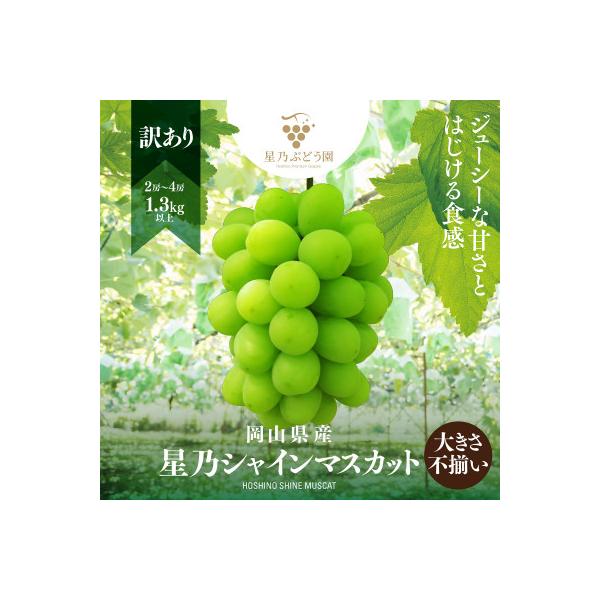 ■お礼品詳細　・配送種別：通常■お申し込み・配送・その他　・発送時期：2026-08-20〜2026-11-14（お届け時間帯指定可）　・申込受付期間：〜2026-10-20　・配達外のエリア：離島、北海道、沖縄県　・寄付証明書の送付時期目...