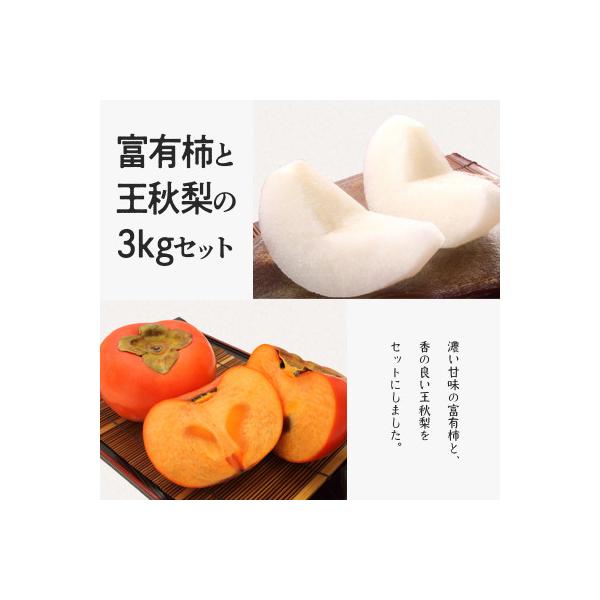 ■お礼品詳細　・配送種別：通常■お申し込み・配送・その他　・発送時期：2026-11-10〜2026-12-10（お届け時間帯指定可）　・申込受付期間：〜2026-11-30　・配達外のエリア：離島、北海道、沖縄県　・寄付証明書の送付時期目...