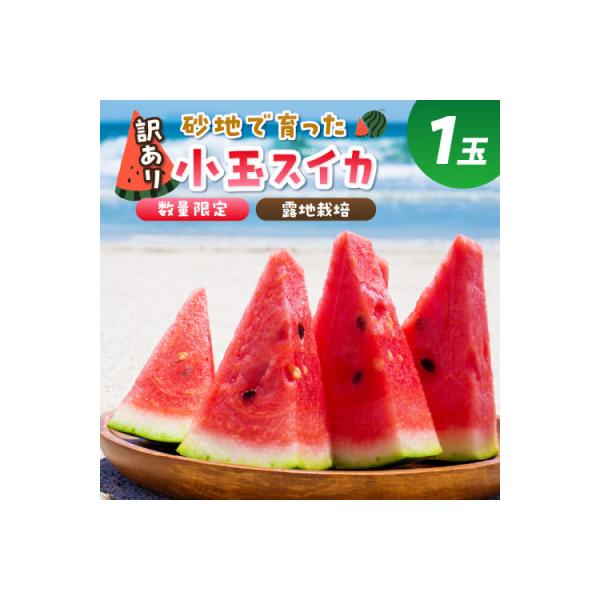 ■お礼品詳細　・配送種別：通常■お申し込み・配送・その他　・発送時期：2026-07-11〜2026-07-31（お届け時間帯指定可）　・申込受付期間：〜2026-07-01　・配達外のエリア：離島　・寄付証明書の送付時期目安：申込完了日か...