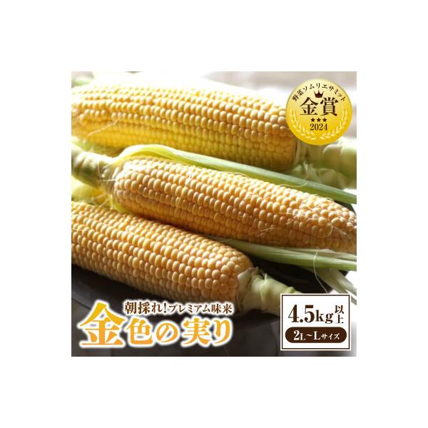 ■お礼品詳細　・配送種別：冷蔵便■お申し込み・配送・その他　・発送時期：2026年6月中旬より順次　・申込受付期間：〜2026-07-07　・配達外のエリア：離島　・寄付証明書の送付時期目安：入金確認後1か月以内　・提供元：杉中園芸