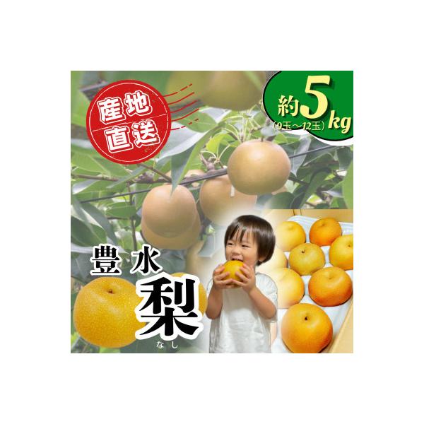 ■お礼品詳細　・配送種別：冷蔵便■お申し込み・配送・その他　・発送時期：2026-08-19〜2026-09-05（お届け時間帯指定可）　・申込受付期間：〜2026-06-10　・配達外のエリア：離島　・寄付証明書の送付時期目安：申込完了日...