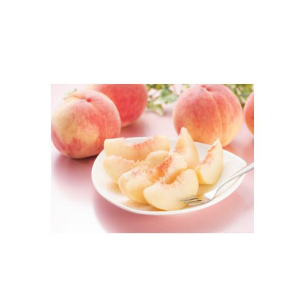 ■お礼品詳細　・配送種別：冷蔵便■お申し込み・配送・その他　・発送時期：2026-07-17〜2026-08-15（お届け時間帯指定可）　・申込受付期間：〜2026-07-20　・配達外のエリア：離島　・寄付証明書の送付時期目安：申込完了日...