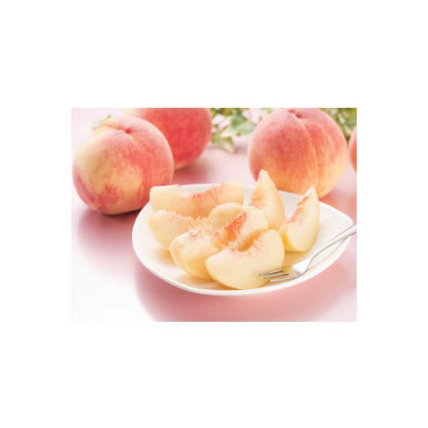 ■お礼品詳細　・配送種別：冷蔵便■お申し込み・配送・その他　・発送時期：2026-07-17〜2026-08-15（お届け時間帯指定可）　・申込受付期間：〜2026-07-20　・配達外のエリア：離島　・寄付証明書の送付時期目安：申込完了日...