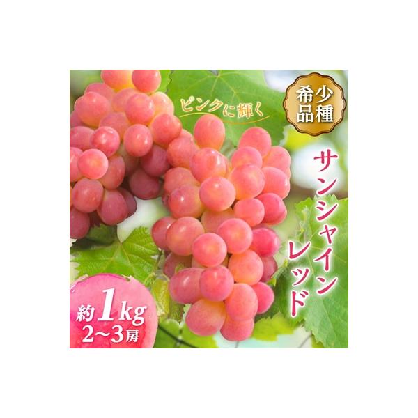 ■お礼品詳細　・配送種別：冷蔵便■お申し込み・配送・その他　・発送時期：2026-08-15〜2026-09-30（お届け時間帯指定可）　・申込受付期間：〜2026-09-15　・配達外のエリア：離島　・寄付証明書の送付時期目安：申込完了日...