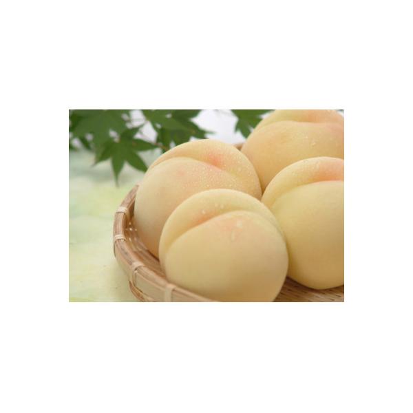 ■お礼品詳細　・配送種別：冷蔵便■お申し込み・配送・その他　・発送時期：2026-07-10〜2026-07-30（お届け時間帯指定可）　・申込受付期間：〜2026-07-15　・配達外のエリア：離島、北海道、沖縄県　・寄付証明書の送付時期...