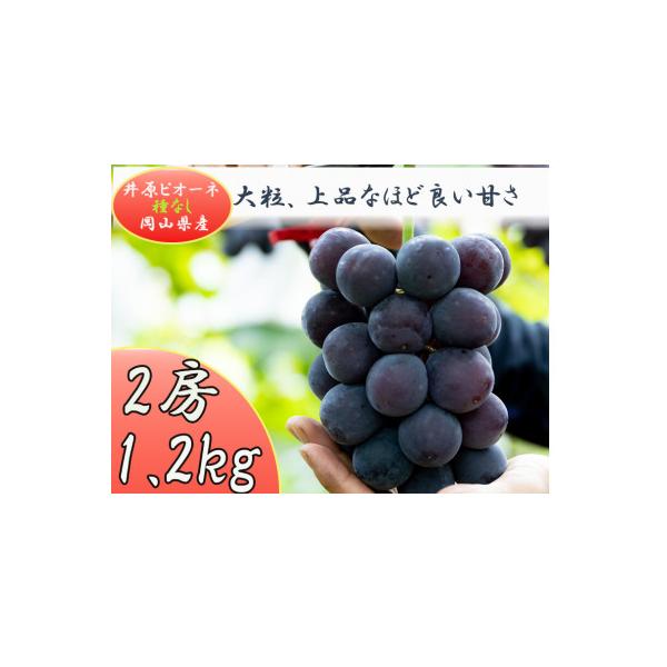 ■お礼品詳細　・配送種別：冷蔵便■お申し込み・配送・その他　・発送時期：2026-08-25〜2026-09-15（お届け時間帯指定可）　・申込受付期間：〜2026-08-10　・配達外のエリア：離島　・寄付証明書の送付時期目安：申込完了日...