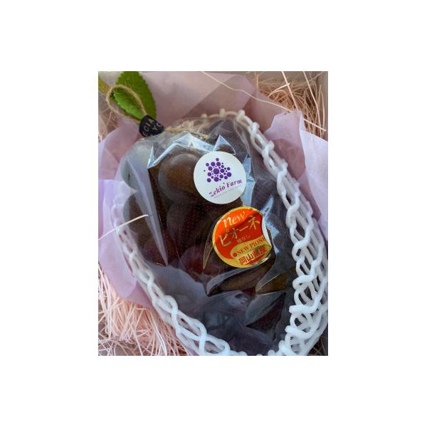 ■お礼品詳細　・配送種別：通常■お申し込み・配送・その他　・発送時期：2026-09-01〜2026-09-30（お届け時間帯指定可）　・申込受付期間：〜2026-09-20　・配達外のエリア：離島　・寄付証明書の送付時期目安：申込完了日か...