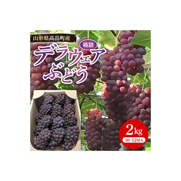 ■お礼品詳細　・配送種別：冷蔵便■お申し込み・配送・その他　・発送時期：2026-07-09〜2026-08-21（お届け時間帯指定可）　・申込受付期間：〜2026-08-08　・配達外のエリア：離島　・寄付証明書の送付時期目安：申込完了日...