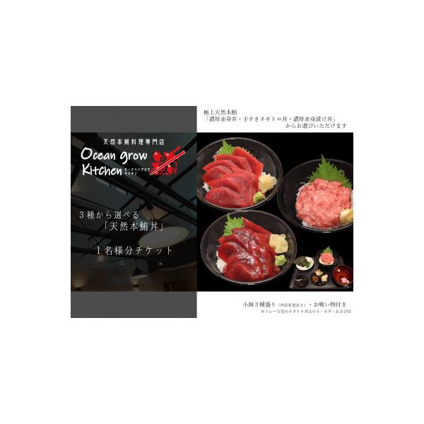 ■お礼品詳細　・配送種別：通常■お申し込み・配送・その他　・発送時期：お申込みから2週間程度でお届け（お届け日時指定可）　・申込受付期間：通年　・配達外のエリア：　・寄付証明書の送付時期目安：申込完了日から２週間程度　・提供元：オーシャング...