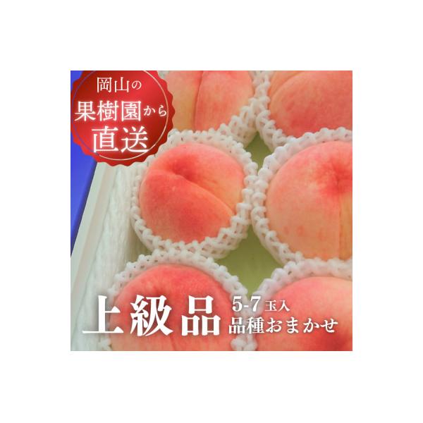 ■お礼品詳細　・配送種別：冷蔵便■お申し込み・配送・その他　・発送時期：2026-07-05〜2026-10-14（お届け時間帯指定可）　・申込受付期間：〜2026-09-20　・配達外のエリア：離島　・寄付証明書の送付時期目安：申込完了日...