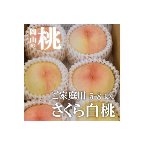 ■お礼品詳細　・配送種別：冷蔵便■お申し込み・配送・その他　・発送時期：2026-08-10〜2026-10-14（お届け時間帯指定可）　・申込受付期間：〜2026-09-20　・配達外のエリア：離島　・寄付証明書の送付時期目安：申込完了日...
