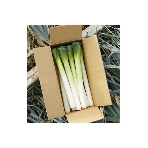 ■お礼品詳細　・配送種別：通常■お申し込み・配送・その他　・発送時期：2025-11-14〜2026-04-07（お届け時間帯指定可）　・申込受付期間：〜2026-03-31　・配達外のエリア：　・寄付証明書の送付時期目安：申込完了日から２...