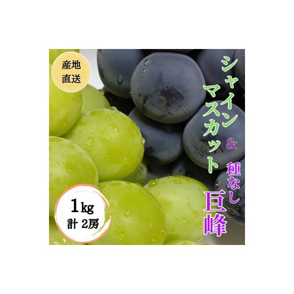 ■お礼品詳細　・配送種別：冷蔵便■お申し込み・配送・その他　・発送時期：2026-08-16〜2026-10-16（お届け時間帯指定可）　・申込受付期間：〜2026-09-30　・配達外のエリア：離島、沖縄県　・寄付証明書の送付時期目安：申...