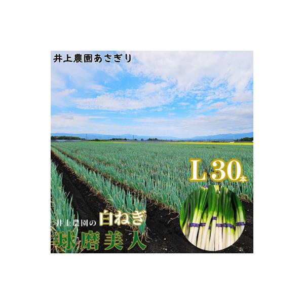 ■お礼品詳細　・配送種別：冷蔵便■お申し込み・配送・その他　・発送時期：2026-01-15〜2026-02-28（お届け時間帯指定可）　・申込受付期間：〜2026-02-20　・配達外のエリア：離島　・寄付証明書の送付時期目安：申込完了日...