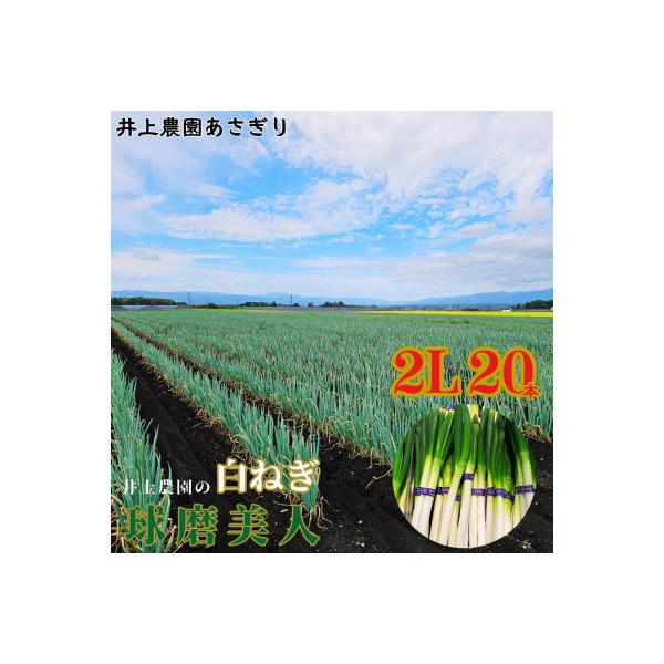 ■お礼品詳細　・配送種別：冷蔵便■お申し込み・配送・その他　・発送時期：2026-01-15〜2026-02-28（お届け時間帯指定可）　・申込受付期間：〜2026-02-20　・配達外のエリア：離島　・寄付証明書の送付時期目安：申込完了日...