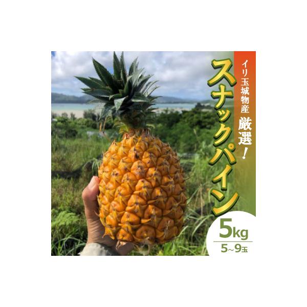 ■お礼品詳細　・配送種別：冷蔵便■お申し込み・配送・その他　・発送時期：2026-06-01〜2026-07-31（お届け時間帯指定可）　・申込受付期間：〜2026-06-30　・配達外のエリア：離島　・寄付証明書の送付時期目安：申込完了日...