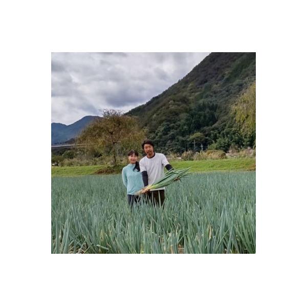 ■お礼品詳細　・配送種別：通常■お申し込み・配送・その他　・発送時期：〜2026-03-02（お届け時間帯指定可）　・申込受付期間：2025-12-05〜2026-02-25　・配達外のエリア：離島、北海道、沖縄県、東北　・寄付証明書の送付...