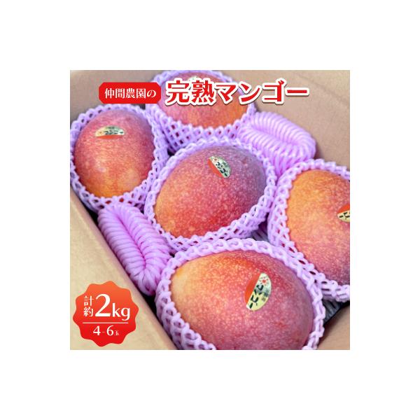 ■お礼品詳細　・配送種別：冷蔵便■お申し込み・配送・その他　・発送時期：2026-06-20〜2026-07-31（お届け時間帯指定可）　・申込受付期間：〜2026-07-10　・配達外のエリア：離島　・寄付証明書の送付時期目安：申込完了日...