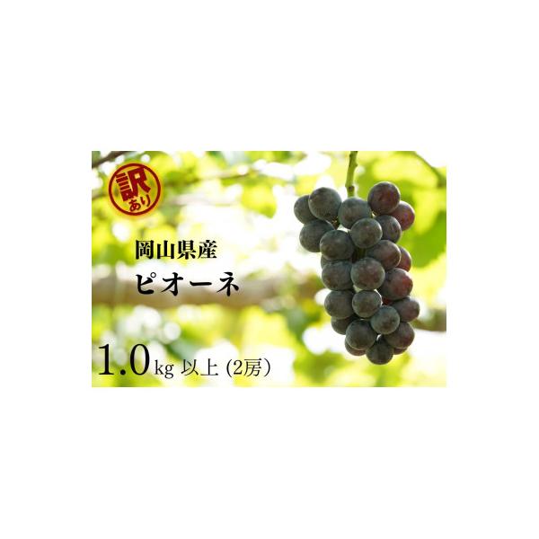 ■お礼品詳細　・配送種別：冷蔵便■お申し込み・配送・その他　・発送時期：2026-08-25〜2026-09-30（お届け時間帯指定可）　・申込受付期間：〜2026-09-16　・配達外のエリア：離島、沖縄県　・寄付証明書の送付時期目安：申...