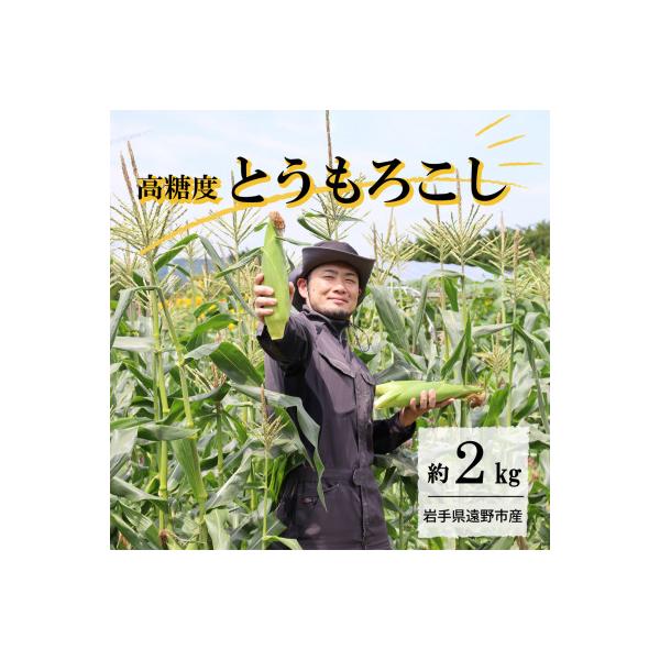 ■お礼品詳細　・配送種別：冷蔵便■お申し込み・配送・その他　・発送時期：2026-07-23〜2026-08-10（お届け時間帯指定可）　・申込受付期間：〜2026-07-20　・配達外のエリア：離島　・寄付証明書の送付時期目安：申込完了日...