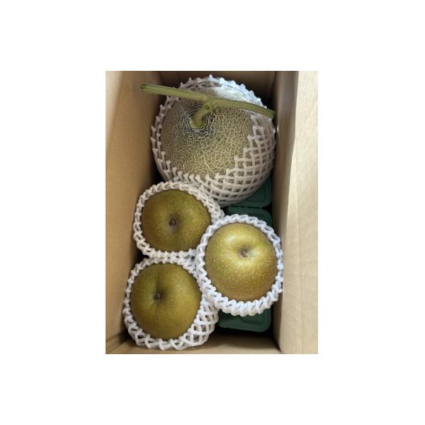 ■お礼品詳細　・配送種別：通常■お申し込み・配送・その他　・発送時期：2026-10-01〜2026-11-10（お届け時間帯指定可）　・申込受付期間：〜2026-10-31　・配達外のエリア：　・寄付証明書の送付時期目安：申込完了日から２...