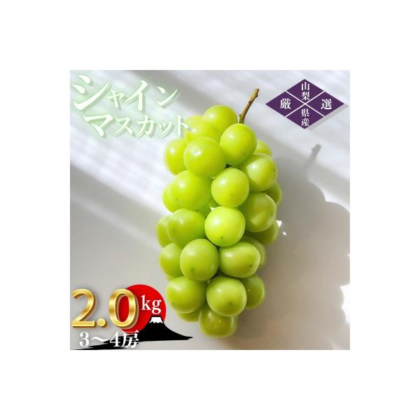 ■お礼品詳細　・配送種別：通常■お申し込み・配送・その他　・発送時期：2026-08-25〜2026-10-15（お届け時間帯指定可）　・申込受付期間：〜2026-09-30　・配達外のエリア：離島、沖縄県　・寄付証明書の送付時期目安：申込...