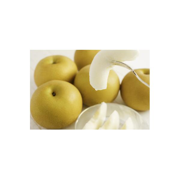 ■お礼品詳細　・配送種別：通常■お申し込み・配送・その他　・発送時期：2026-09-01〜2026-09-30（お届け時間帯指定可）　・申込受付期間：〜2026-09-10　・配達外のエリア：離島、北海道、沖縄県　・寄付証明書の送付時期目...