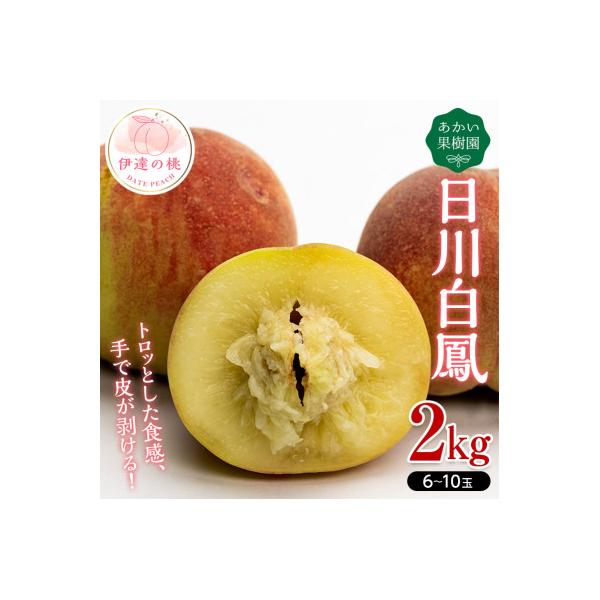 ■お礼品詳細　・配送種別：通常■お申し込み・配送・その他　・発送時期：2026-07-01〜2026-07-20（お届け時間帯指定可）　・申込受付期間：〜2026-05-31　・配達外のエリア：離島、沖縄県　・寄付証明書の送付時期目安：申込...