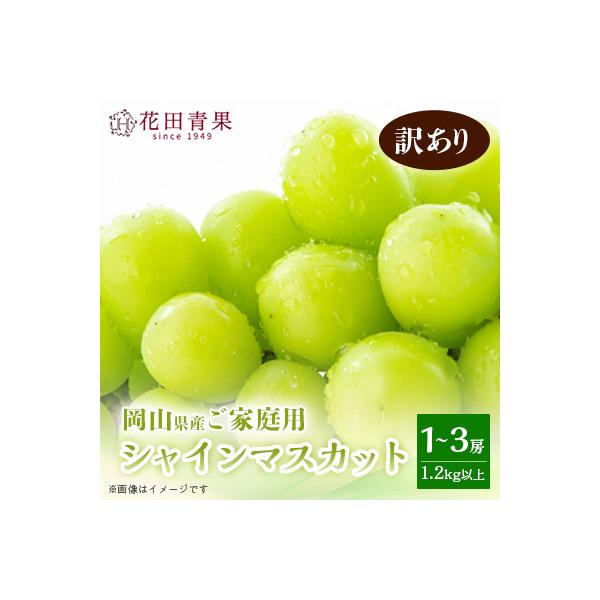 ■お礼品詳細　・配送種別：冷蔵便■お申し込み・配送・その他　・発送時期：2026-09-10〜2026-10-20（お届け時間帯指定可）　・申込受付期間：2025-11-22〜2026-10-10　・配達外のエリア：離島　・寄付証明書の送付...