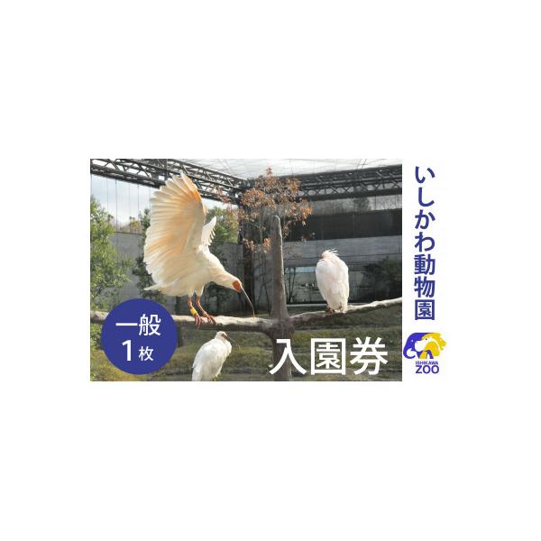 ■お礼品詳細　・配送種別：通常■お申し込み・配送・その他　・発送時期：2025-01-06以降、お申し込み後1週間程度で順次発送予定（お届け日時指定可）　・申込受付期間：通年　・配達外のエリア：　・寄付証明書の送付時期目安：申込完了日から２...