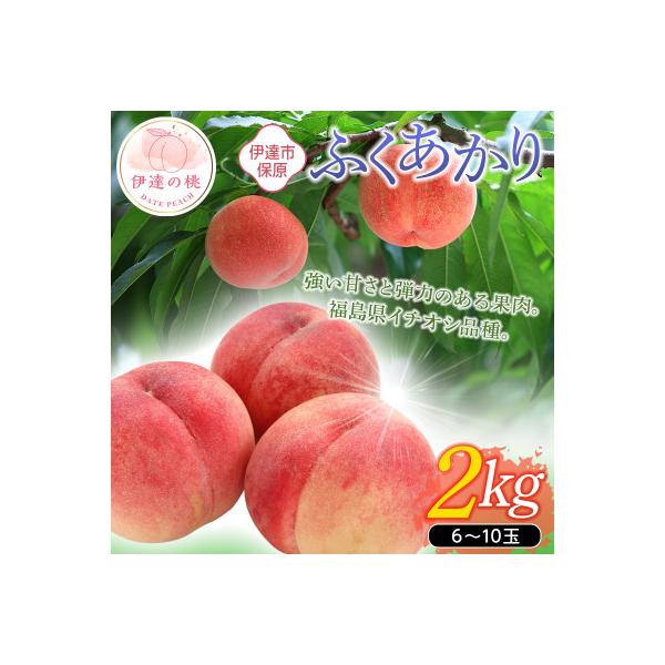 ■お礼品詳細　・配送種別：通常■お申し込み・配送・その他　・発送時期：2026-07-11〜2026-07-31（お届け時間帯指定可）　・申込受付期間：〜2026-05-31　・配達外のエリア：離島、沖縄県　・寄付証明書の送付時期目安：申込...