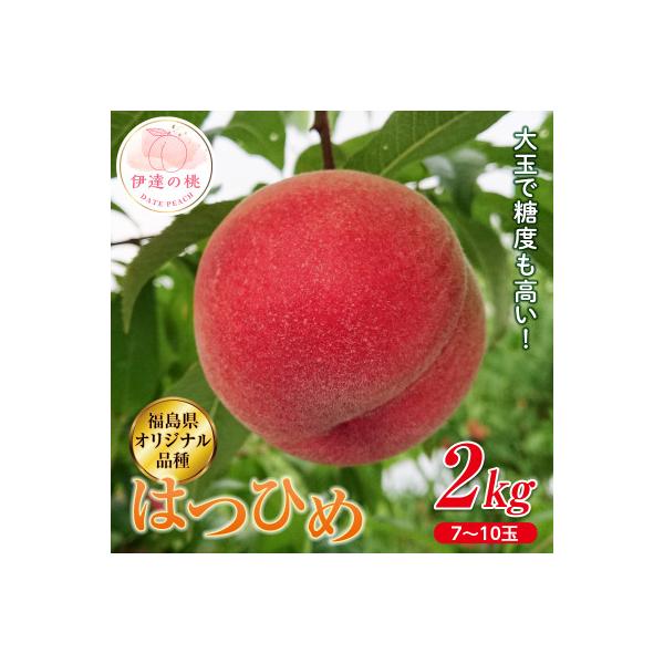 ■お礼品詳細　・配送種別：通常■お申し込み・配送・その他　・発送時期：2026-07-01〜2026-07-20（お届け時間帯指定可）　・申込受付期間：〜2026-05-31　・配達外のエリア：離島、沖縄県　・寄付証明書の送付時期目安：申込...