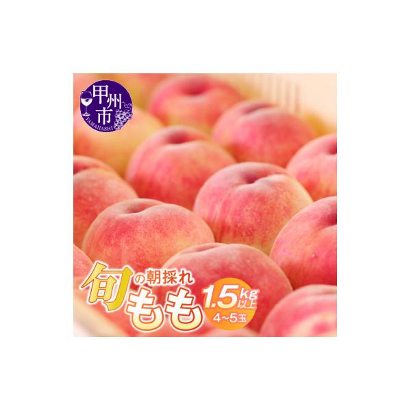 ■お礼品詳細　・配送種別：通常■お申し込み・配送・その他　・発送時期：2026-07-01〜2026-08-05（お届け時間帯指定可）　・申込受付期間：〜2026-07-17　・配達外のエリア：離島、沖縄県　・寄付証明書の送付時期目安：申込...