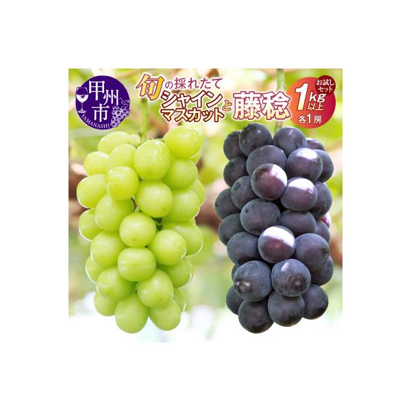 ■お礼品詳細　・配送種別：冷蔵便■お申し込み・配送・その他　・発送時期：2026-08-25〜2026-09-20（お届け時間帯指定可）　・申込受付期間：〜2026-09-01　・配達外のエリア：離島、沖縄県　・寄付証明書の送付時期目安：申...