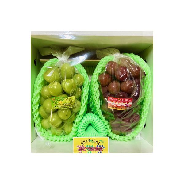 ■お礼品詳細　・配送種別：冷蔵便■お申し込み・配送・その他　・発送時期：2026-09-10〜2026-10-31（お届け時間帯指定可）　・申込受付期間：〜2026-10-09　・配達外のエリア：離島　・寄付証明書の送付時期目安：申込完了日...