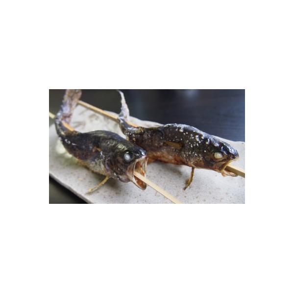 ■お礼品詳細　・配送種別：通常■お申し込み・配送・その他　・発送時期：お申込みから1週間程度で順次発送予定（お届け時間帯指定可）　・申込受付期間：通年　・配達外のエリア：　・寄付証明書の送付時期目安：申込完了日から２週間程度　・提供元：釣り...