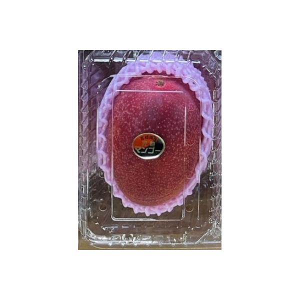 ■お礼品詳細　・配送種別：冷蔵便■お申し込み・配送・その他　・発送時期：2026-05-10〜2026-07-25（お届け時間帯指定可）　・申込受付期間：〜2026-07-20　・配達外のエリア：離島　・寄付証明書の送付時期目安：申込完了日...