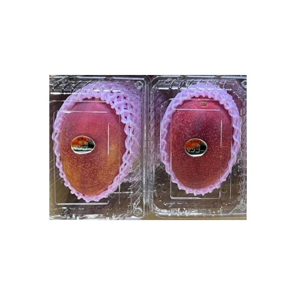 ■お礼品詳細　・配送種別：冷蔵便■お申し込み・配送・その他　・発送時期：2026-05-11〜2026-07-25（お届け時間帯指定可）　・申込受付期間：〜2026-07-10　・配達外のエリア：離島　・寄付証明書の送付時期目安：申込完了日...