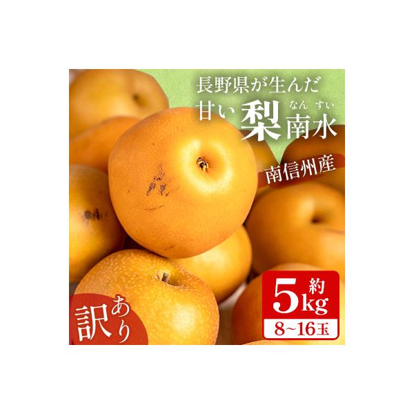 ■お礼品詳細　・配送種別：通常■お申し込み・配送・その他　・発送時期：2026-09-07〜2026-10-09（お届け時間帯指定可）　・申込受付期間：〜2026-10-01　・配達外のエリア：離島、北海道、沖縄県　・寄付証明書の送付時期目...